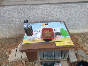 금천구, 길고양이와 공존 위한 중성화 및 돌봄 사업 추진